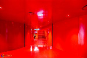 Shaw’s Seattle: Exploring the Emerald City’s Hidden Thrills