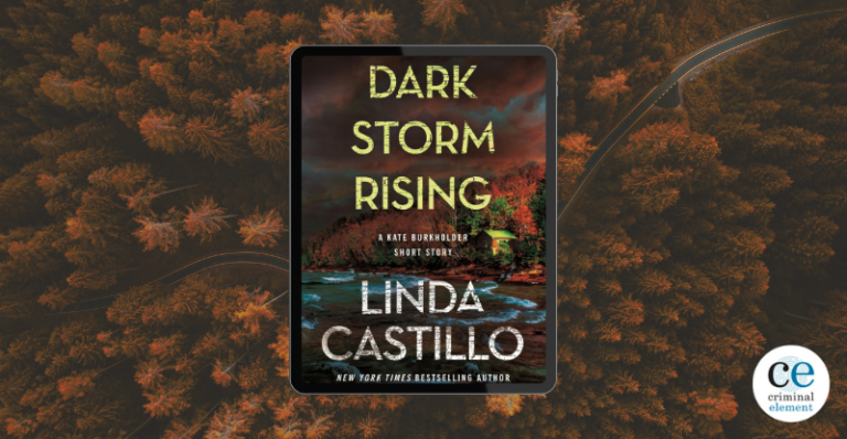 Featured Excerpt: Dark Storm Rising by Linda Castillo
